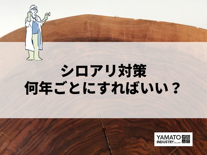 シロアリ対策は何年ごとにする必要がある？その年数と理由を徹底解説 - 京都のシロアリ駆除・雨漏り防水工事専門業者ヤマト産業