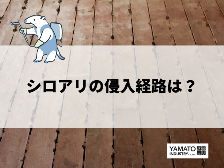 シロアリの侵入経路は？侵入を防ぐためにどう守るべき？ - 京都のシロアリ駆除・雨漏り防水工事専門業者ヤマト産業