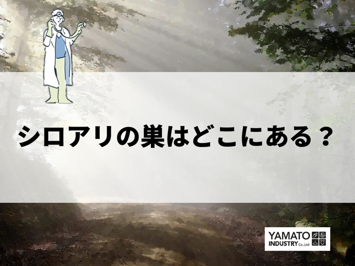 シロアリはどこに巣をつくる？見つけることはできる？ - 京都のシロアリ駆除・雨漏り防水工事専門業者ヤマト産業