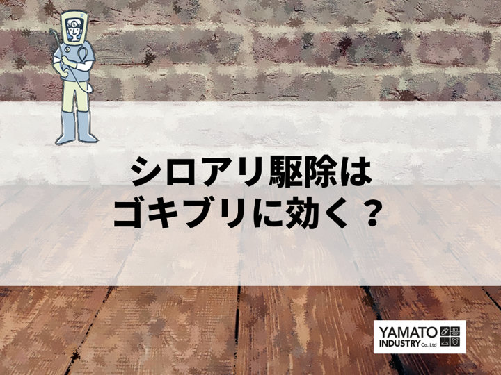 シロアリ駆除を行ったらゴキブリにも効く？その真相を徹底解説 - 京都のシロアリ駆除・雨漏り防水工事専門業者ヤマト産業