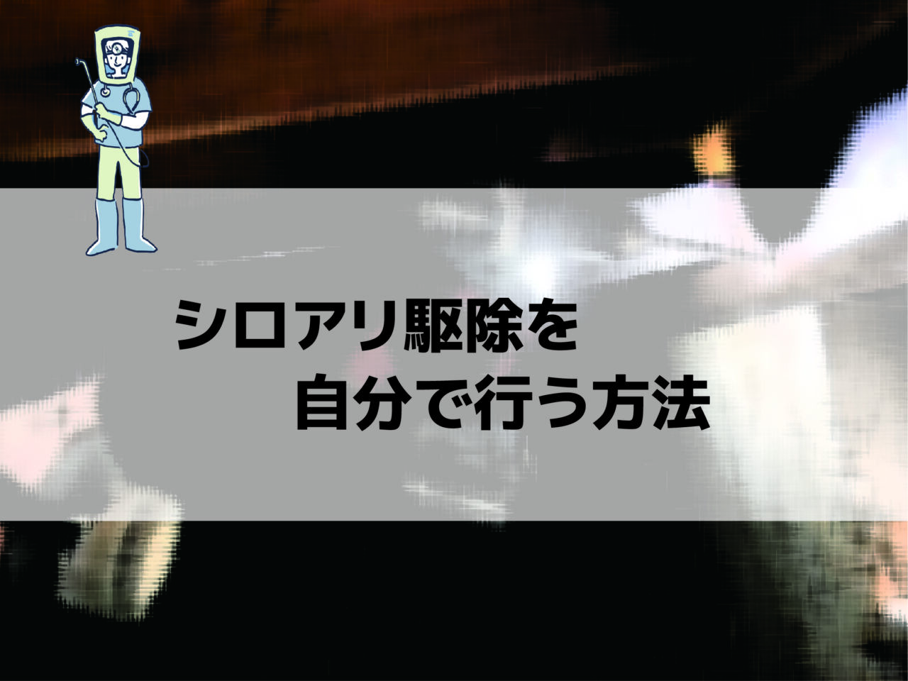 シロアリ駆除を自分で行う方法は？正しい手順と注意点を解説 - 京都のシロアリ駆除・雨漏り防水工事専門業者ヤマト産業
